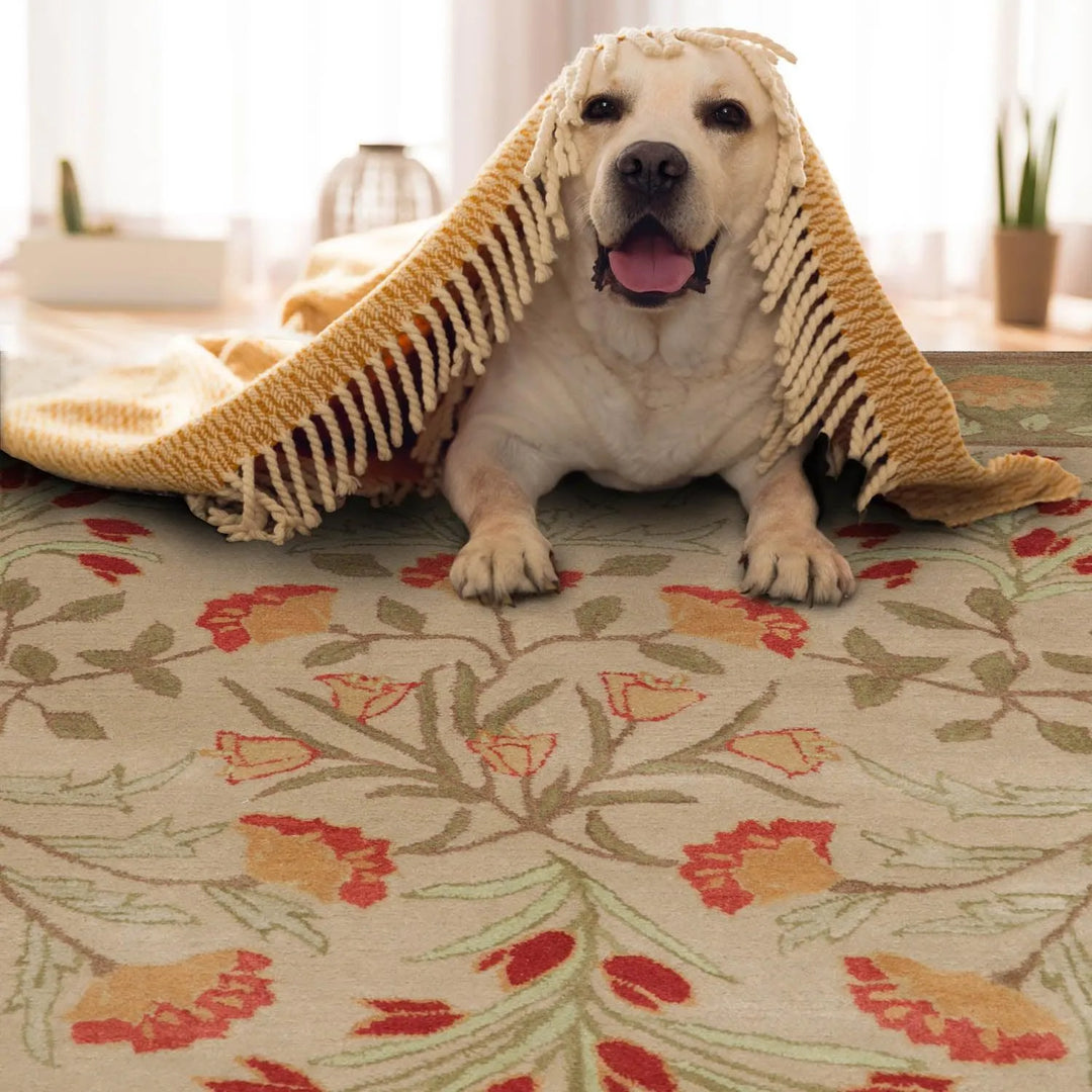 All Brown Color Area Rugs Oriental Rug of Houston – Oriental Rug Of Houston