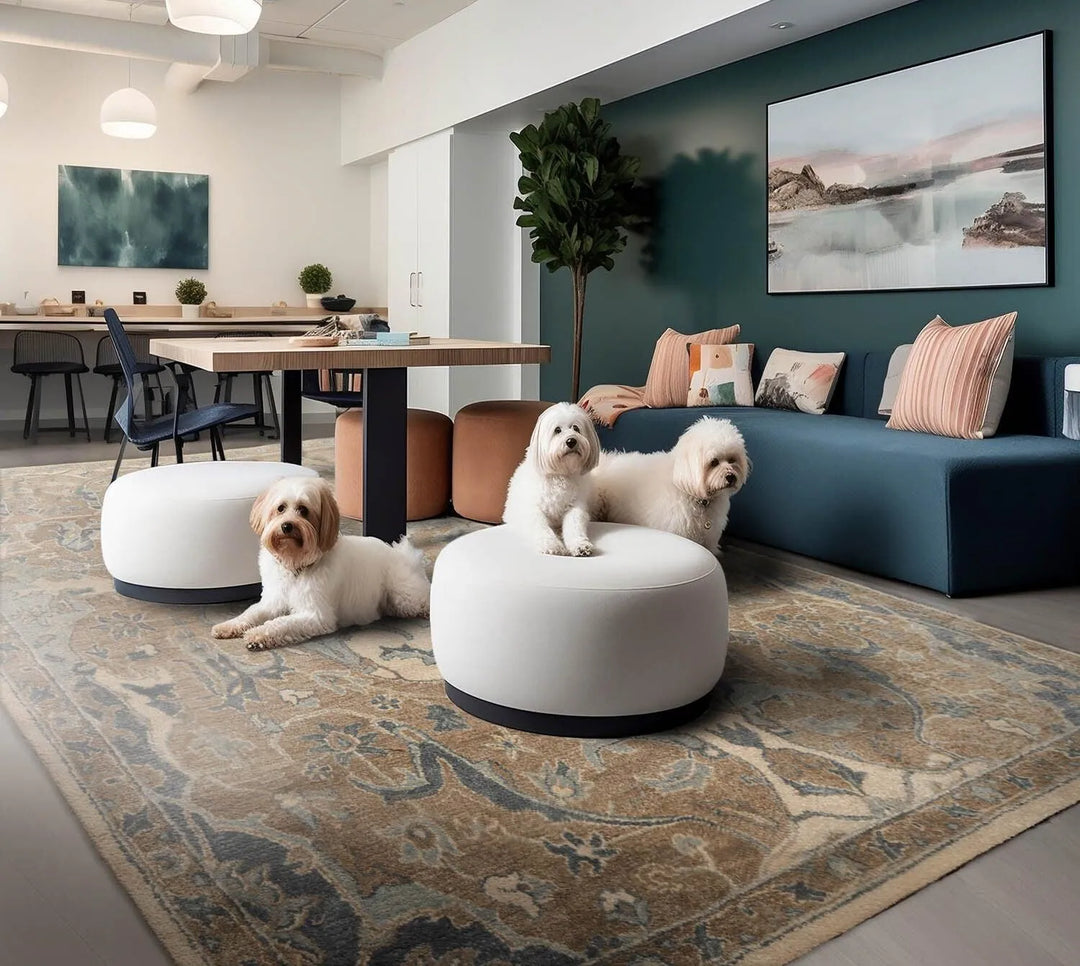 Persian Area Rug Oriental Rug of Houston – Oriental Rug Of Houston